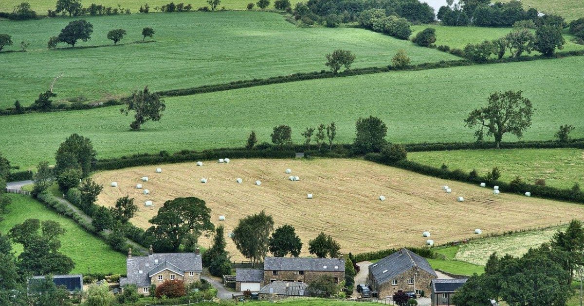 Farm Safety Week 2024 | Carson McDowell